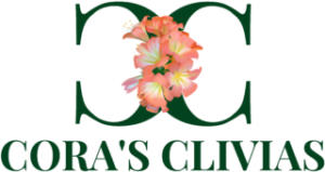Cora's Clivias – Clivia dreams can come true